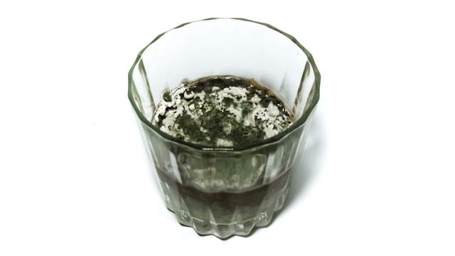 Timelapse Stock Footage Video - Moldy Milk | 993 | Fruits and Food