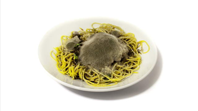 Timelapse Stock Footage Video - Spaghetti Bolognese Mold-Timelapse ...