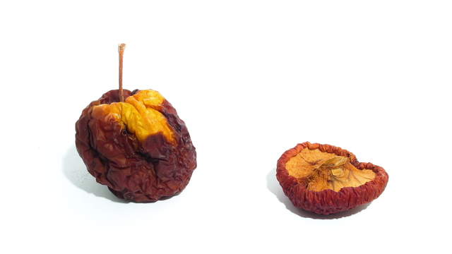 Timelapse Stock Footage Video - Rotting Apple | 1012 | Fruits and Food