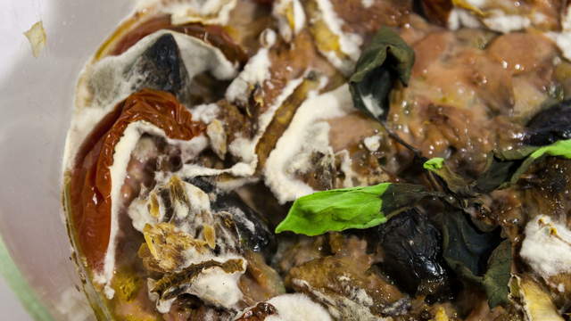 Timelapse Stock Footage Video - Tuna Salad Mold-Timelapse Close-Up ...