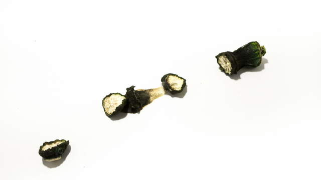 Timelapse Stock Footage Video - Zucchini 4K Video | 1284 | Fruits and Food