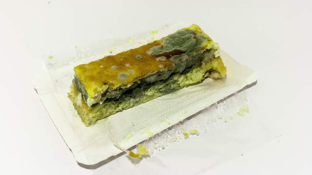 Timelapse Stock Footage Video - Rotting Cream Cake | 2109 | Fruits and Food