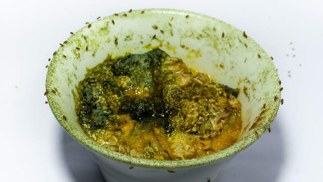 Timelapse Stock Footage Video - Rotting Ice Cream | 2145 | Fruits and Food