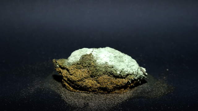 Timelapse Stock Footage Video - Rotting Lemon | 2235 | Fruits and Food